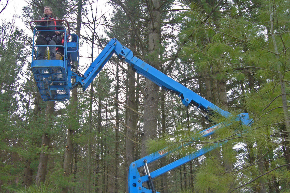 Metcalfe Architecture & Design - Blog - Tread Lightly: How do you ...