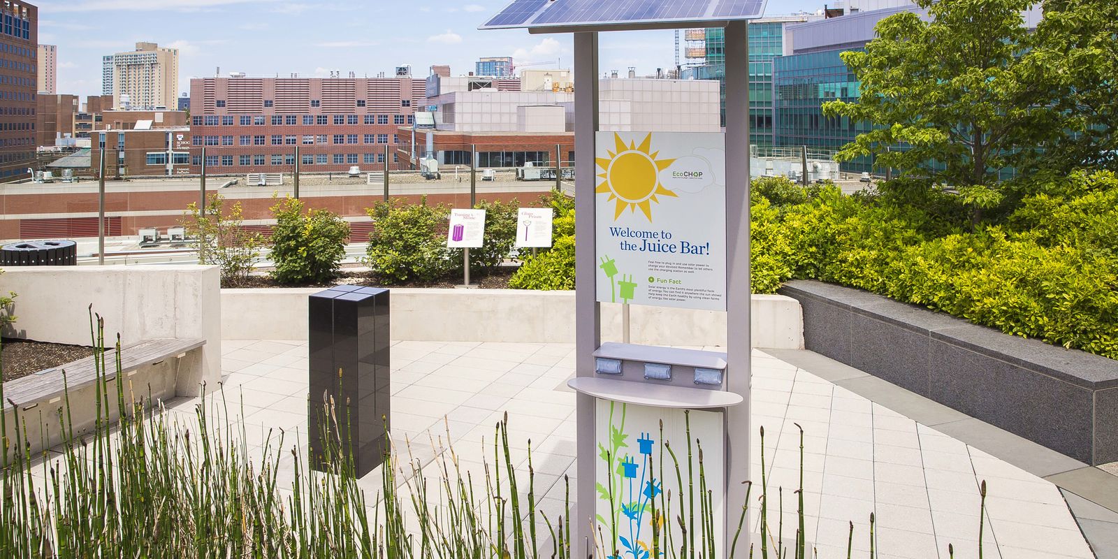 Metcalfe Architecture & Design - Browse All Work - Treetop Terrace ...